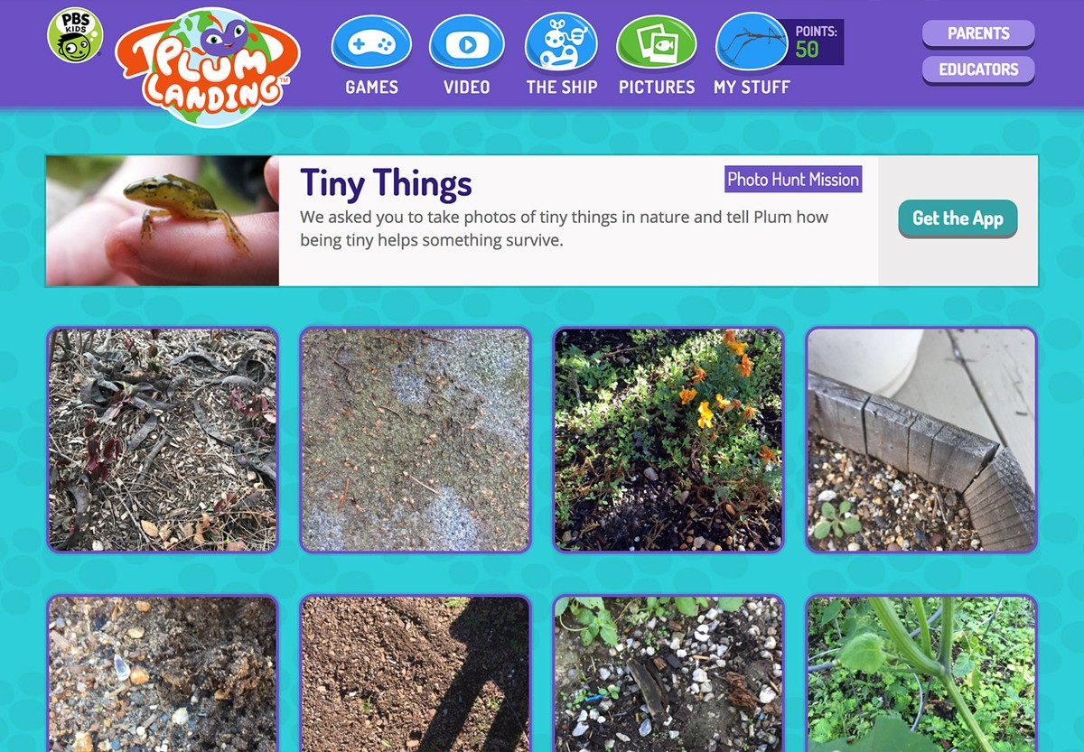 Plum Landing | Dan Nolan | Visual Designer and User Experience Designer